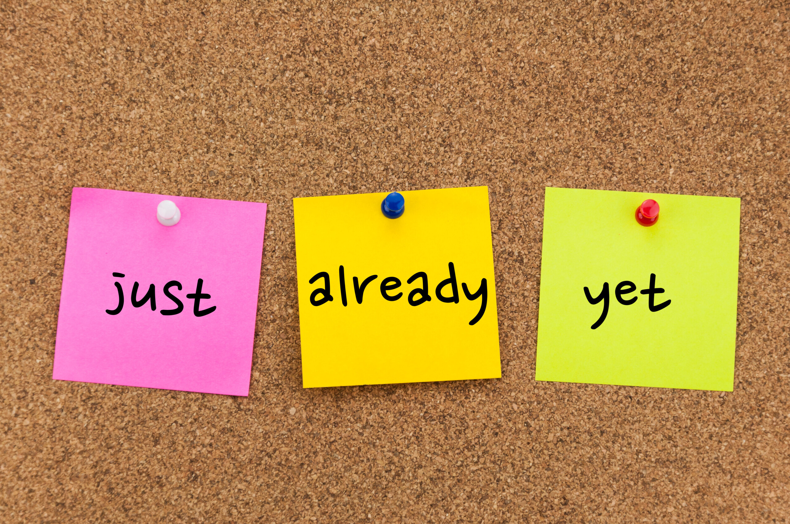 현재완료와 자주 쓰이는 부사: just, already, yet | Engoo 블로그