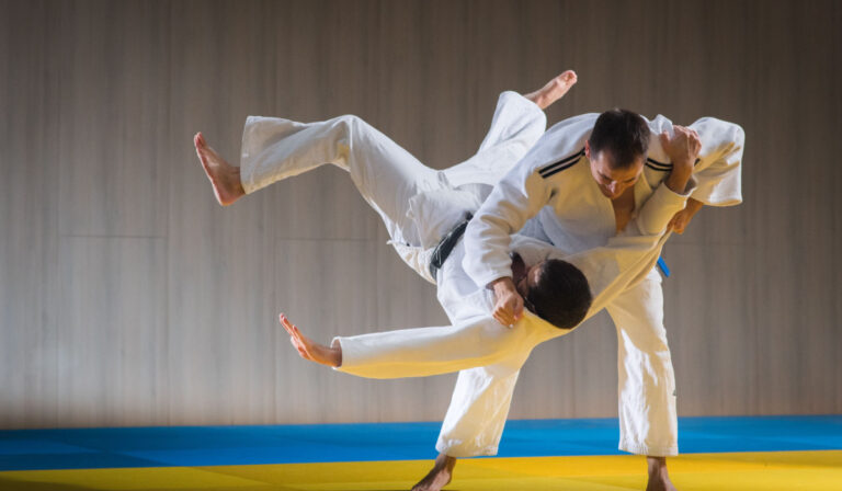 【運動英文】拳擊、泰拳、詠春、巴西柔術等世界各地的武術英文怎麼說？MMA 全名是什麼？ | Engoo線上英文