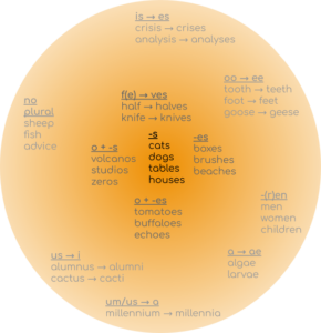 How to Explain Exceptions to Rules (Without Saying "That's Just the Way ...