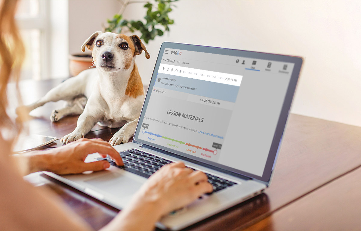 4 Useful Things You Can Do With Lesson Recordings | Engoo Tutor's Blog