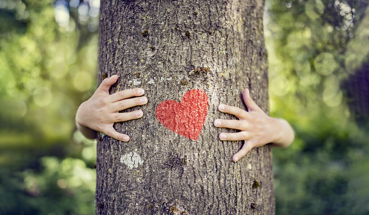 7 English Phrases About the Environment