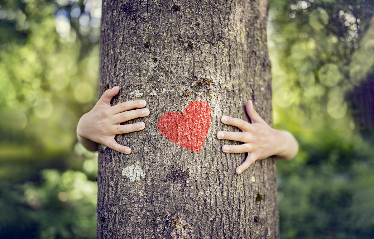 7 English Phrases About the Environment