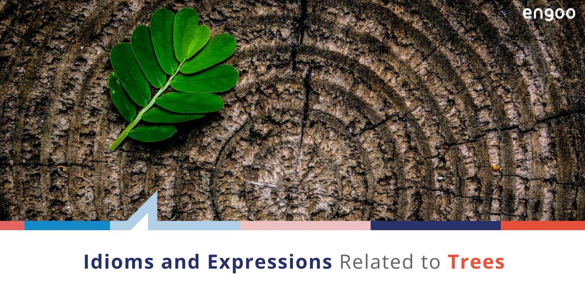 Idioms and Expressions Related to Trees | Engoo Blog