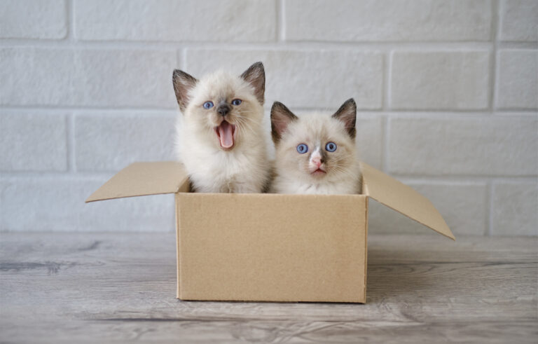 Understanding the Differences: "At," "In" and "On" | Engoo Blog