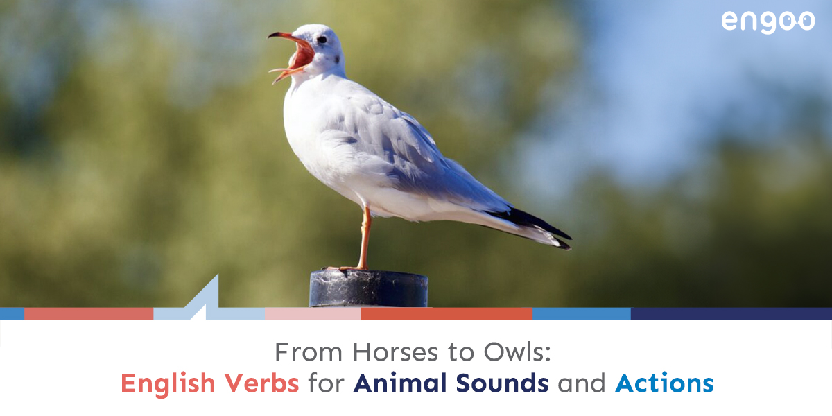 English Verbs for Animal Sounds and Actions | Engoo Blog