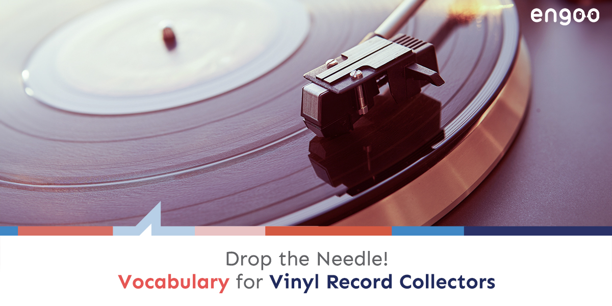 Drop the Needle! Vocabulary for Vinyl Record Collectors | Engoo Blog