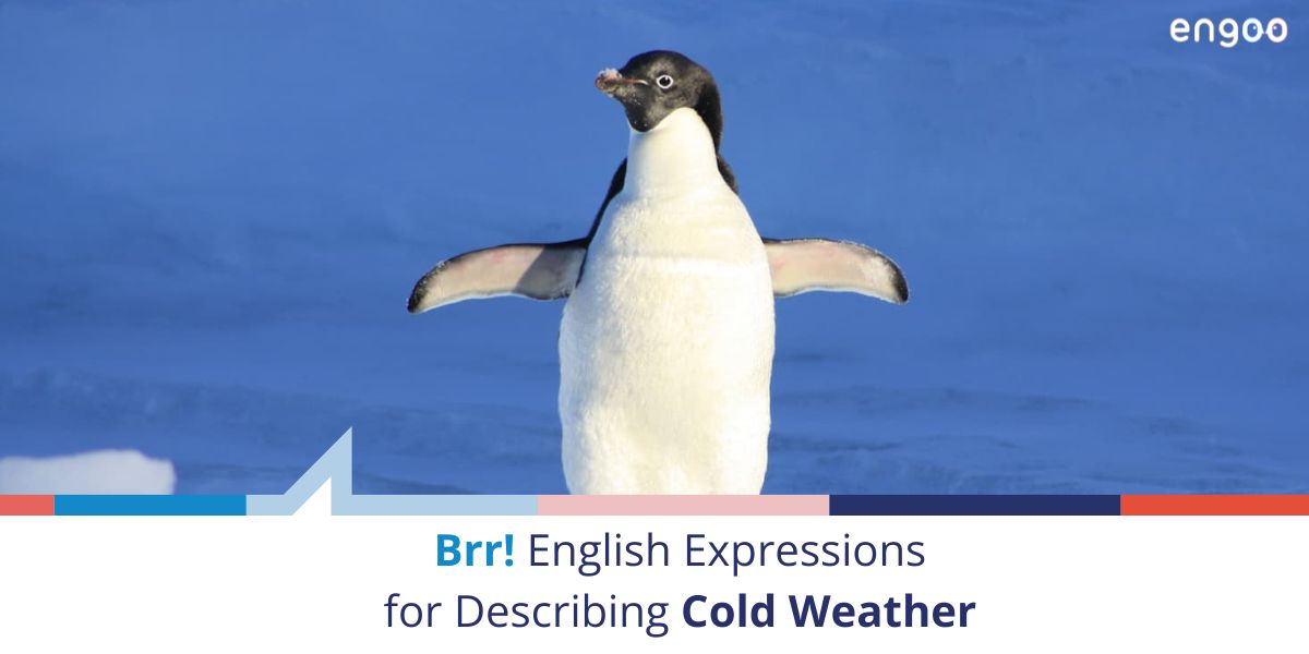 Brrr! English Expressions for Describing Winter Weather | Engoo Blog