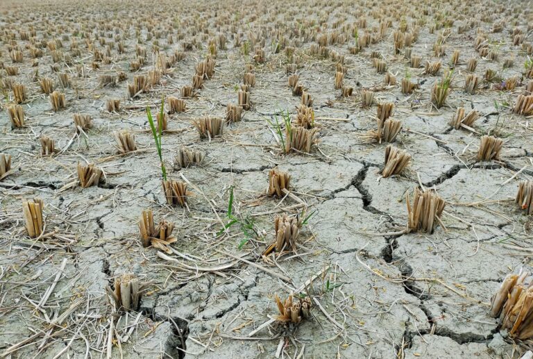 Vocabulary and Expressions Related to Natural Disasters [Updated ...