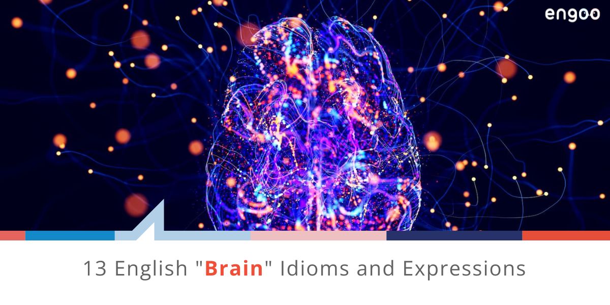 13 English "Brain" Idioms and Expressions | Engoo Blog